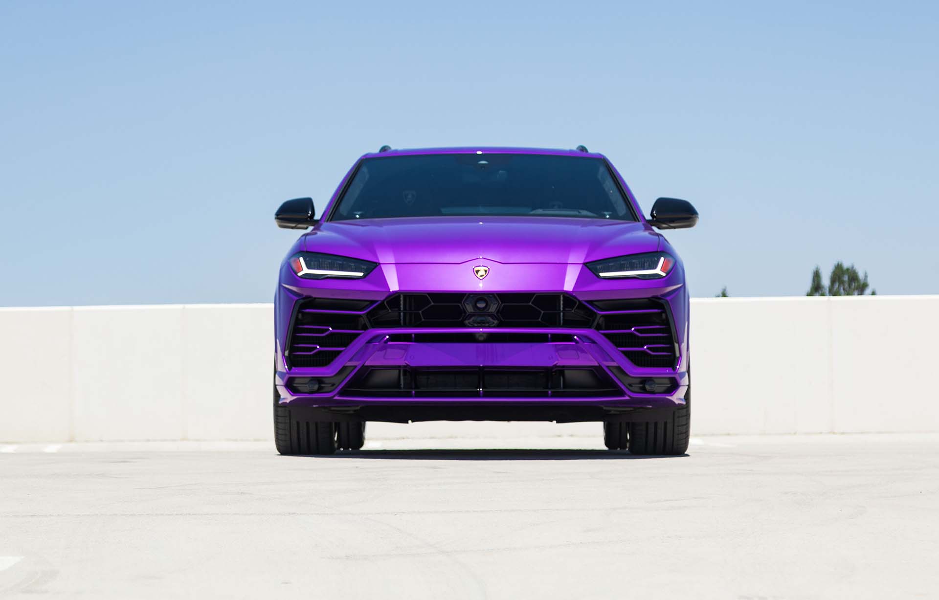 Purple Lamborghini Urus